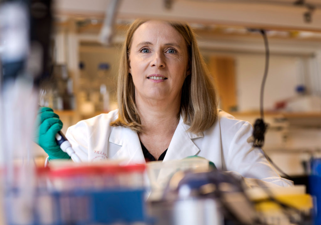 Drygt 150 miljoner från Knut och Alice Wallenbergs stiftelse