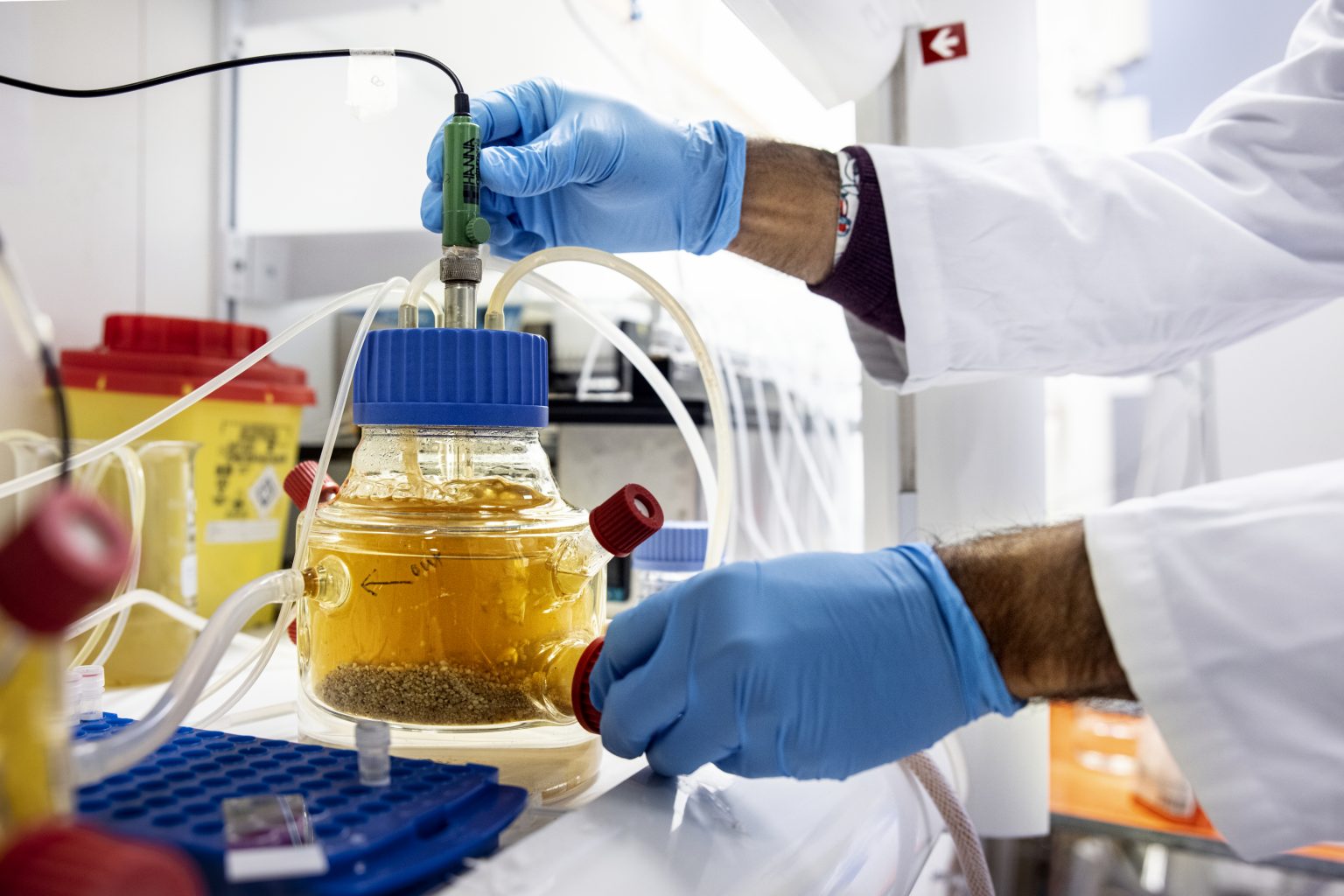 Fredrik Bäckhed awarded substantial EU grant