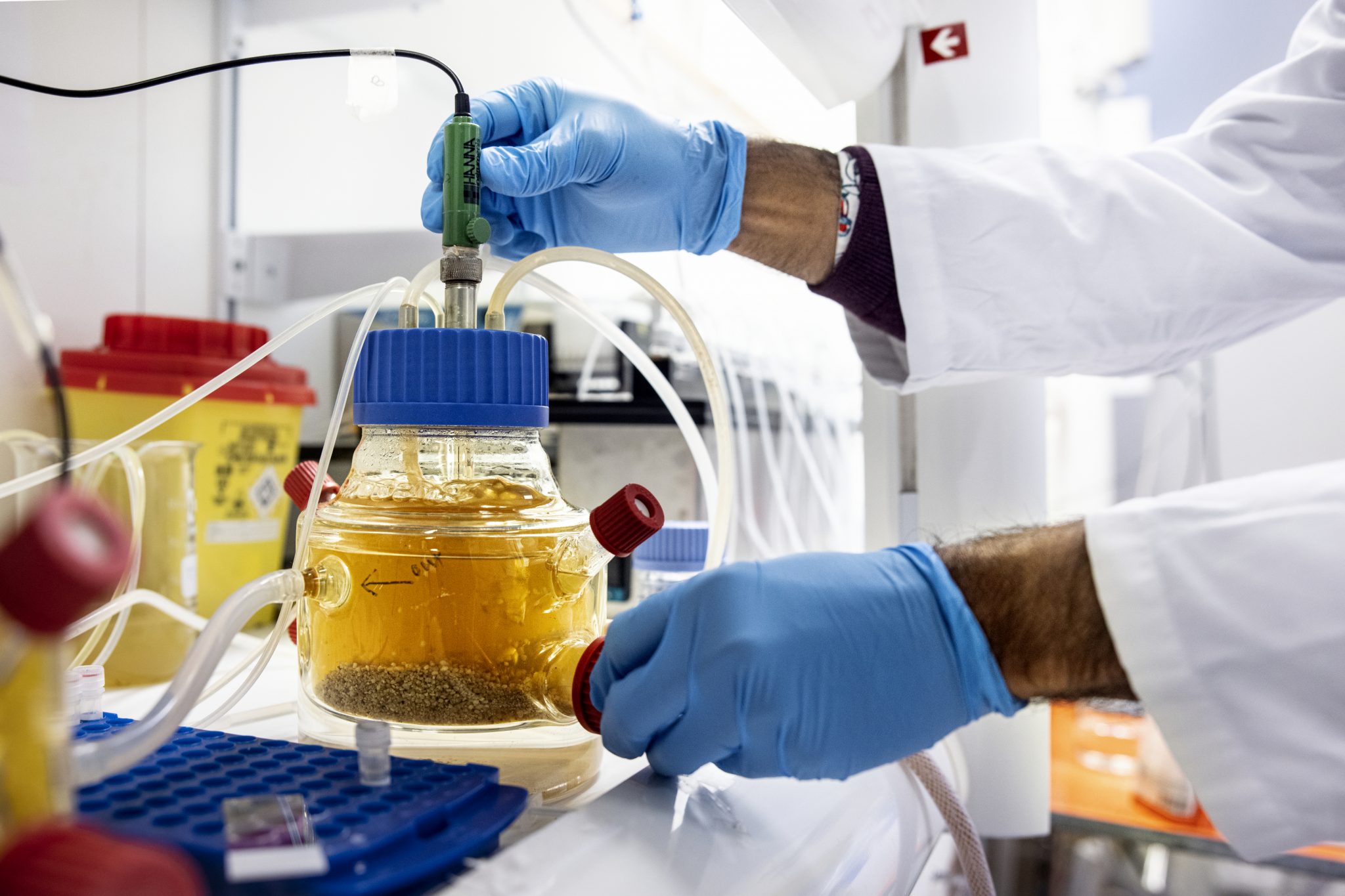 Fredrik Bäckhed awarded substantial EU grant